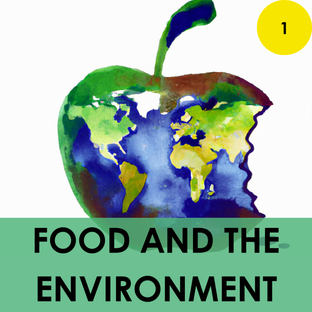 Food and The Environment - GreenBeetz